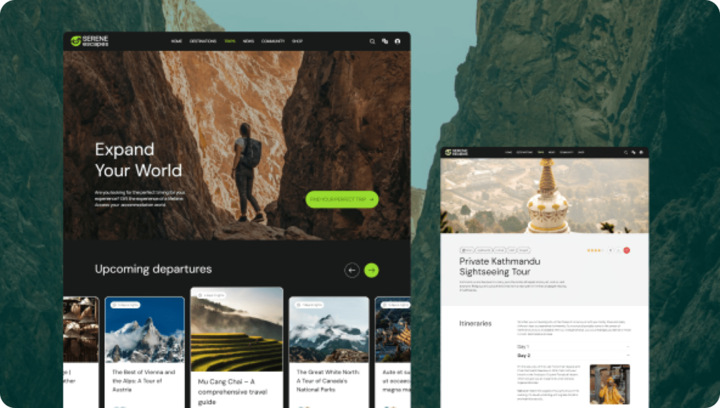 Website Wireframe Builder - Visily