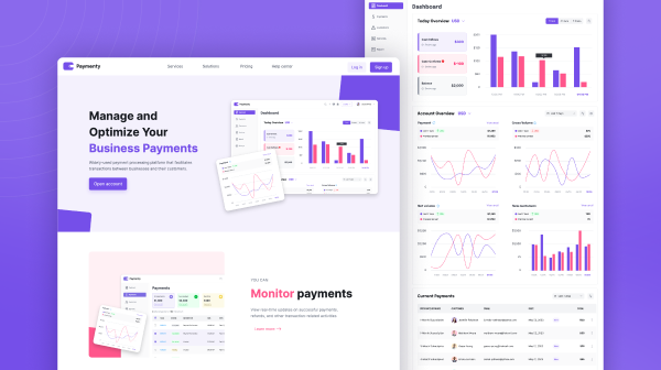 Payment Processing Website Template - Visily